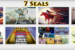 7 Seals Of Revelation - Discover Biblical Interpretation! Enjoy ...